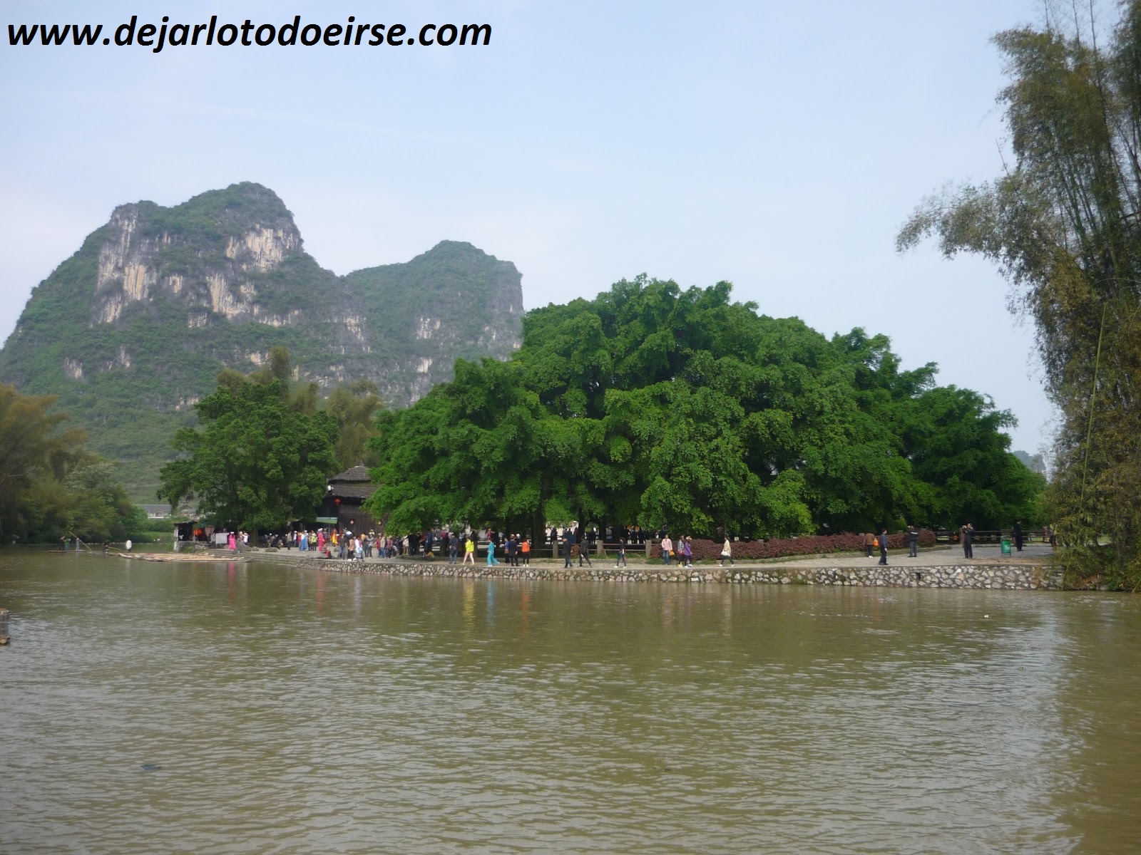 big banyan tree (gran árbol banyan) yangshuo - Dejarlo todo e Irse